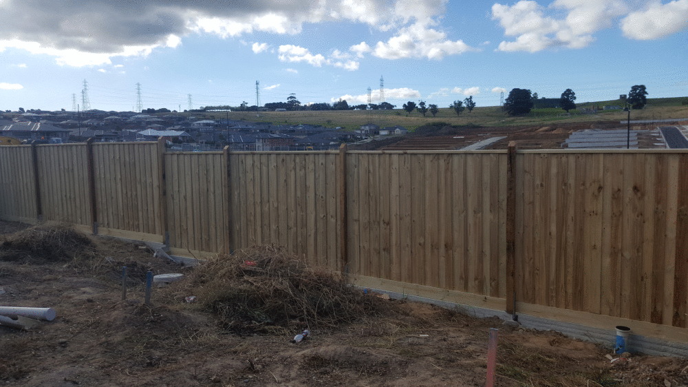 Paling Fencing - Melbourne Fencing & Decking
